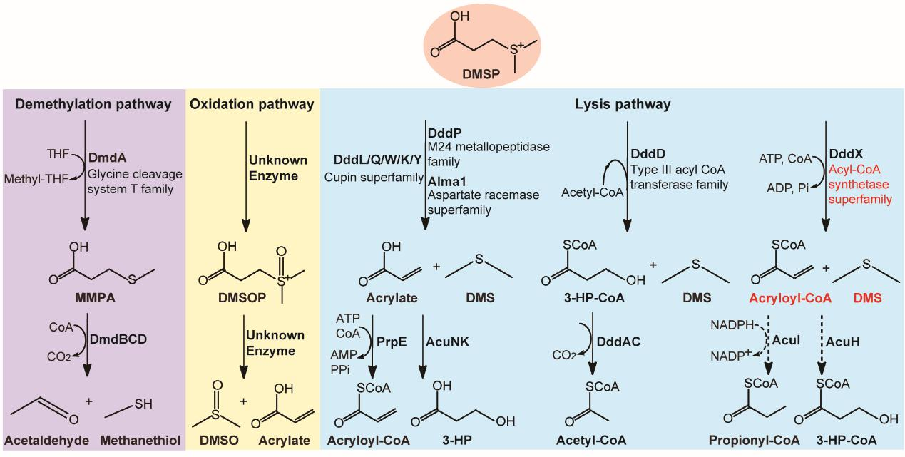 2021年实验室工作研究进展